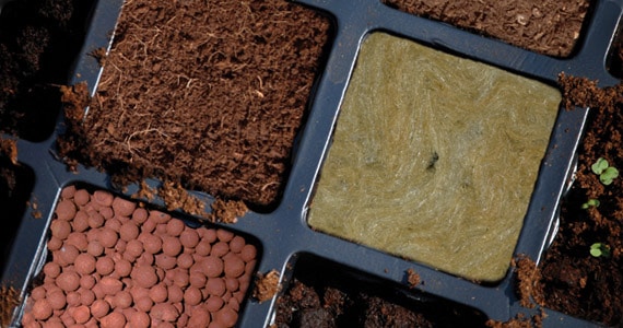 Frosty Gardens Seed, Soil, & More
